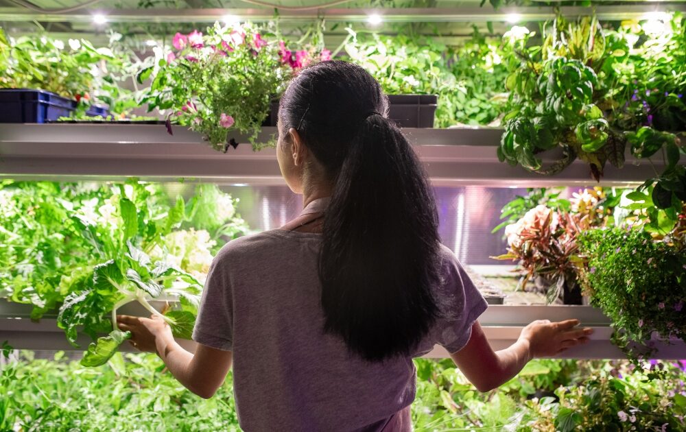 Racking Solutions for your Home Greenhouse and Garden